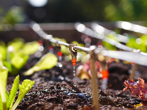 Drip Irrigation Systems | DRC Landscaping